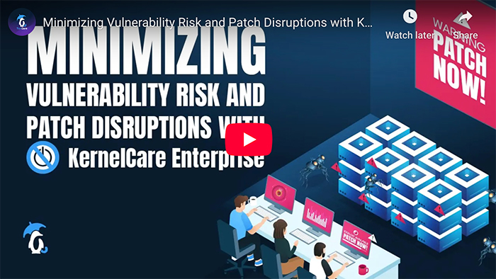 Live Patching Services for Enterprises