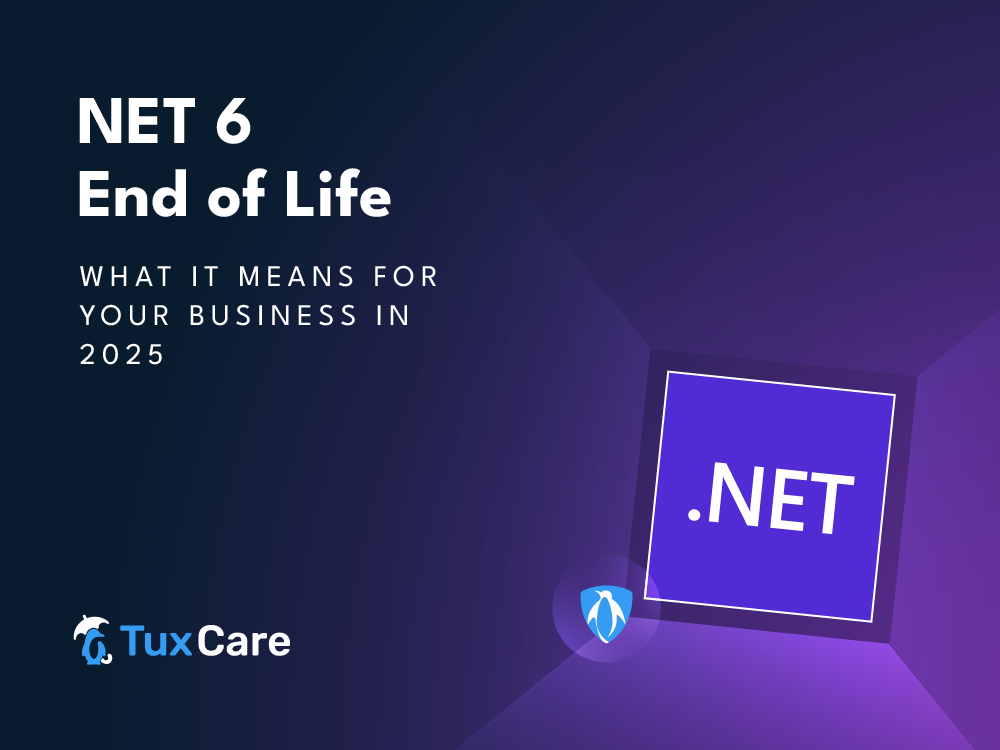 .NET 6 End of Life: What It Means for Your Business in 2025